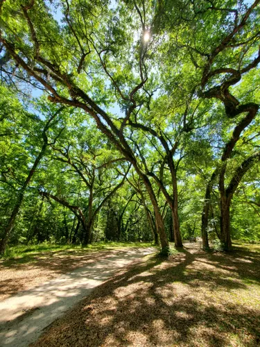 Best Easy Trails in Historic Blakeley State Park | AllTrails