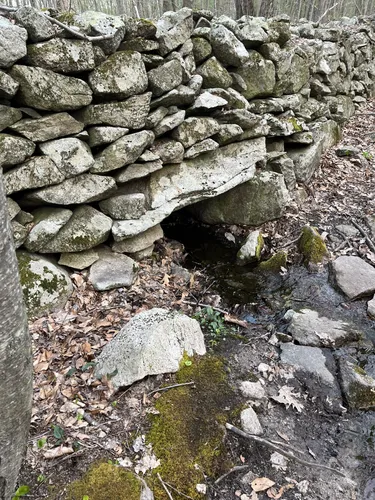 Best Trail Running Trails in Upton State Forest | AllTrails