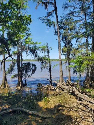 Best Easy Trails in Historic Blakeley State Park | AllTrails