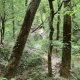 Echo River Spring and Sinkhole Loop, Kentucky - 641 Reviews, Map ...