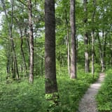 Echo River Spring and Sinkhole Loop, Kentucky - 641 Reviews, Map ...