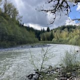 Robe Canyon Historic Trail, Washington - 929 Reviews, Map | AllTrails