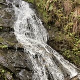 Robe Canyon Historic Trail, Washington - 955 Reviews, Map | AllTrails