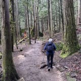 Little Si Trail, Washington - 11,173 Reviews, Map | AllTrails