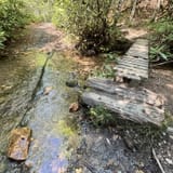 Explorer Loop, North Carolina - 447 Reviews, Map | AllTrails