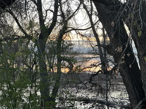 Best Lake Trails in Barr Lake State Park | AllTrails