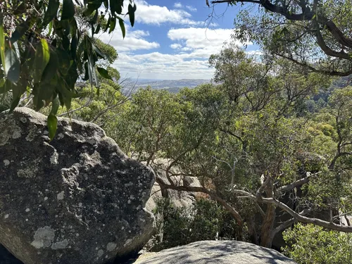 10 Best Forest Trails in Mount Alexander Regional Park | AllTrails