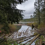 Wallace Falls and Wallace Lake Loop, Washington - 1,338 Reviews, Map ...