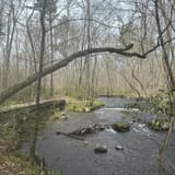 Stepstone Falls via Ben Utter Trail, Rhode Island - 1,595 Reviews, Map ...