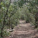Stepstone Falls via Ben Utter Trail, Rhode Island - 1,595 Reviews, Map ...