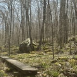Stepstone Falls via Ben Utter Trail, Rhode Island - 1,595 Reviews, Map ...