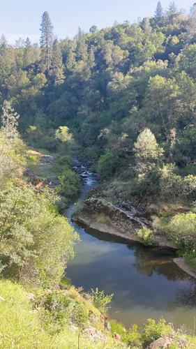 Best Trail Running Trails in Hidden Falls Regional Park | AllTrails