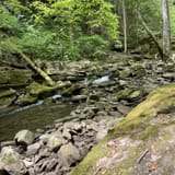 Fiery Gizzard Trail to Raven's Point, Tennessee - 1,141 Reviews, Map ...