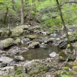 Fiery Gizzard Trail to Raven's Point, Tennessee - 1,141 Reviews, Map ...