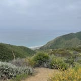 Ray Miller Backbone Trail, California - 2,199 Reviews, Map | AllTrails