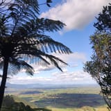 Te Aroha Summit Track, Waikato, New Zealand - 320 Reviews, Map | AllTrails