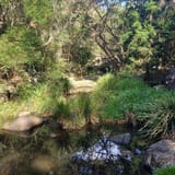 Mount Coot-tha Summit Trail, Queensland, Australia - 750 Reviews, Map ...