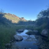 Hackberry Springs Loop, Arizona - 1,742 Reviews, Map | AllTrails
