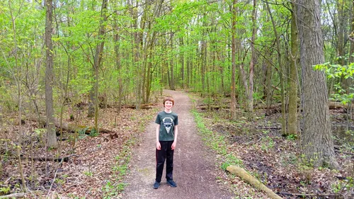 Best Hikes and Trails in Devonwood Conservation Area | AllTrails