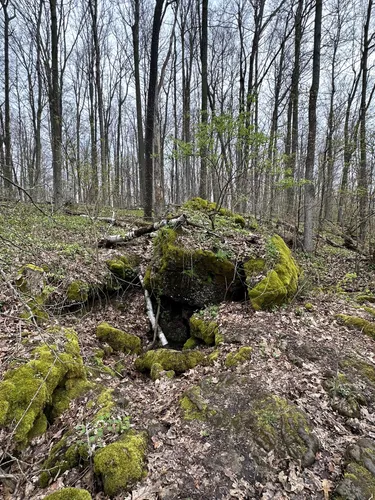 Best Views Trails in Mount Nemo Conservation Area | AllTrails