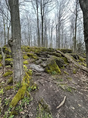 Best Views Trails in Mount Nemo Conservation Area | AllTrails