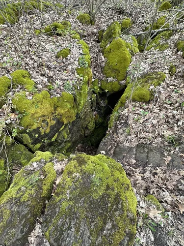 Best Views Trails in Mount Nemo Conservation Area | AllTrails