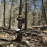 Scenic Trail Cut-off and Maiden Cliff Trail, Maine - 1,485 Reviews, Map ...