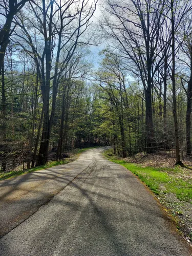 Best Forest Trails in Chestnut Ridge Park | AllTrails