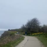 Cliff Walk, Rhode Island - 3,015 Reviews, Map | AllTrails