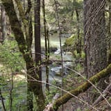 Humbug Trail, California - 313 Reviews, Map | AllTrails