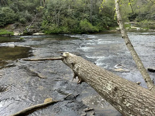 Best Waterfall Trails in Jonas Ridge | AllTrails