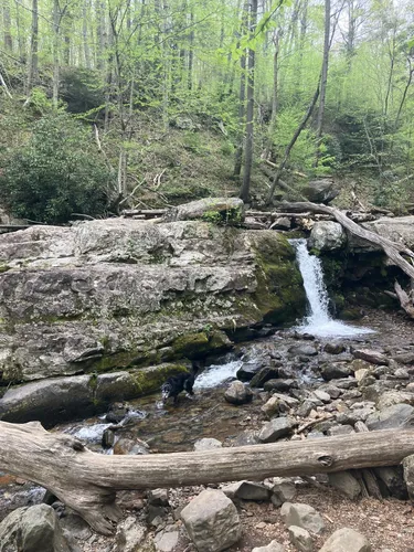 Best Camping Trails in Hardwick Township | AllTrails