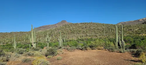 Best Walking Trails in Spur Cross Ranch Conservation Area | AllTrails