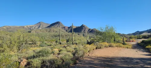 Best Walking Trails in Spur Cross Ranch Conservation Area | AllTrails