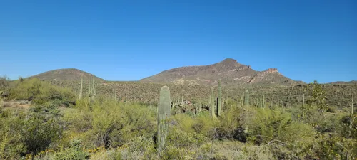 Best Walking Trails in Spur Cross Ranch Conservation Area | AllTrails