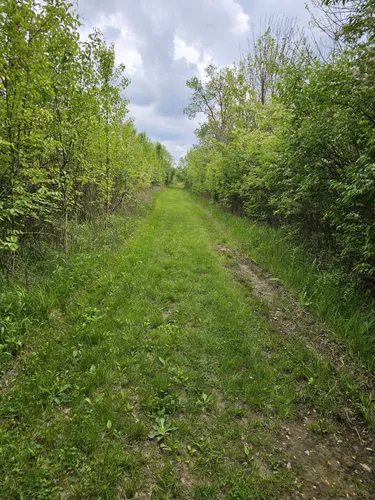 Best Hikes and Trails in Gilmore Ponds Preserve | AllTrails