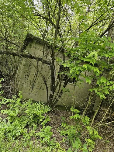 Best Hikes and Trails in Gilmore Ponds Preserve | AllTrails