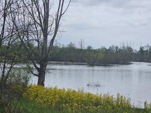 Best Hikes and Trails in Gilmore Ponds Preserve | AllTrails