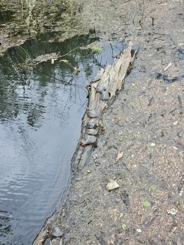 Best Hikes and Trails in Gilmore Ponds Preserve | AllTrails