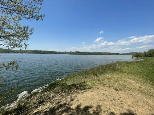 Best Forest Trails in Blue Marsh Lake National Recreation Area | AllTrails