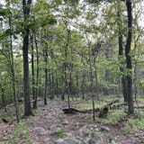 Raven Rocks via Appalachian Trail, Virginia - 6,000 Reviews, Map ...