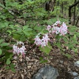 Raven Rocks via Appalachian Trail, Virginia - 6,000 Reviews, Map ...