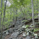 Raven Rocks via Appalachian Trail, Virginia - 6,000 Reviews, Map ...
