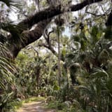 Spring-to-Spring Trail, Florida - 668 Reviews, Map | AllTrails