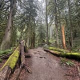 Heybrook Lookout Trail, Washington - 4,855 Reviews, Map | AllTrails