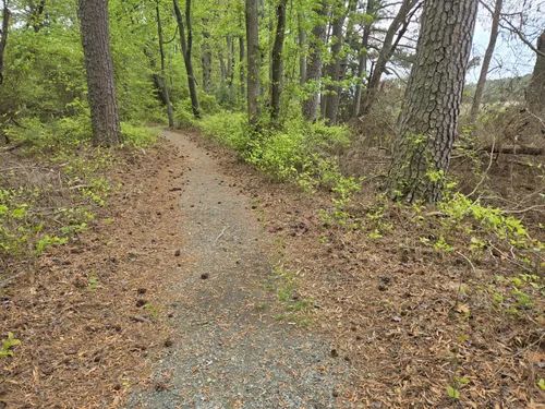 Best Road Biking Trails in Lancaster | AllTrails