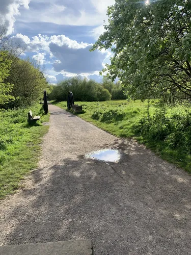 Best Hikes and Trails in Brierley Forest Park | AllTrails