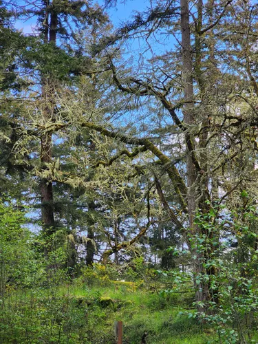 Best Beach Trails in Dupont | AllTrails