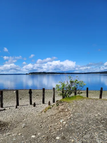Best Beach Trails in Dupont | AllTrails