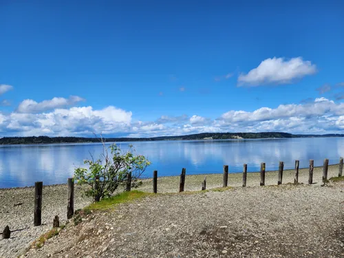 Best Beach Trails in Dupont | AllTrails